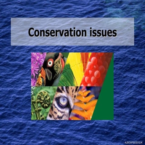 02 Conservation Issues | PPT