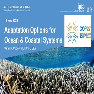 Adaptation options for marine and coastal ecosystems | PPT