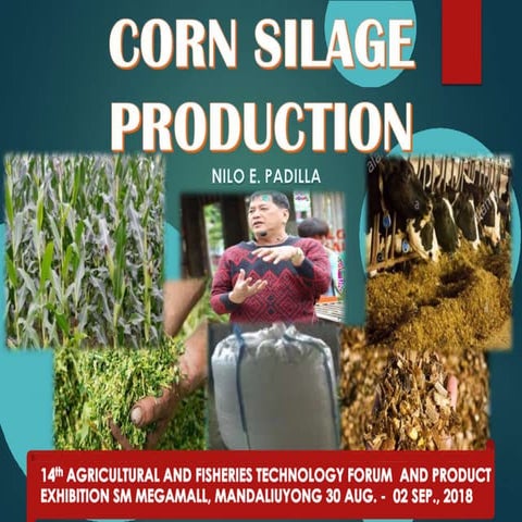 Silage | PPTX