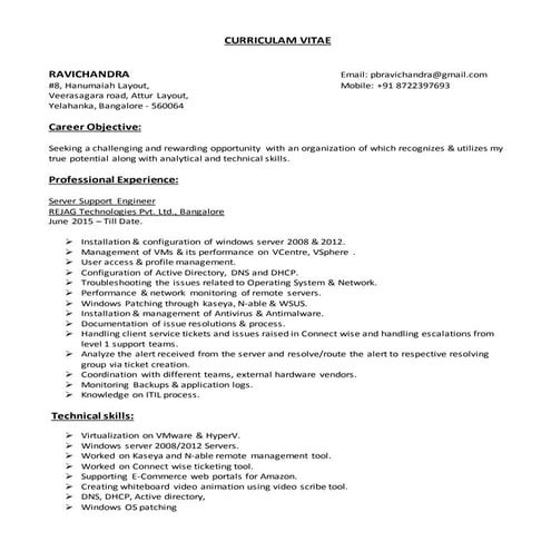 Raja Resume+ | DOCX