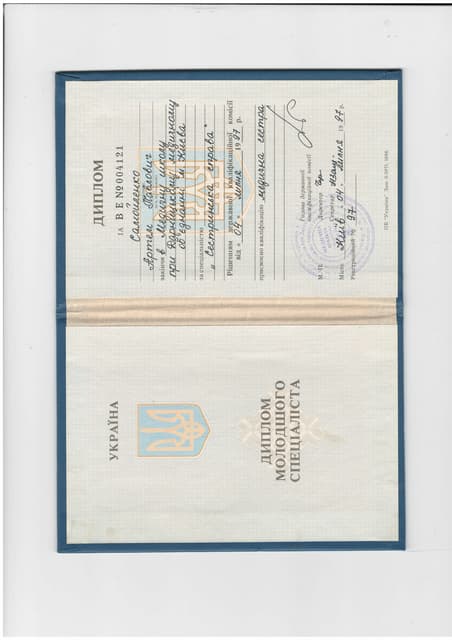 Hydraulic fitter certificate.PDF