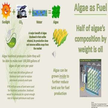 Biofuels Infographic | PPTX