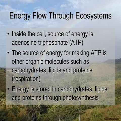 02 Energy Flow through Ecosystems | PPT