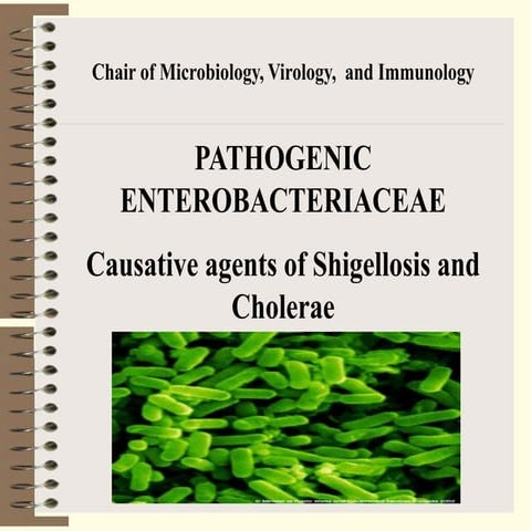 Pathogenic Enterobacteriaceae | PPT