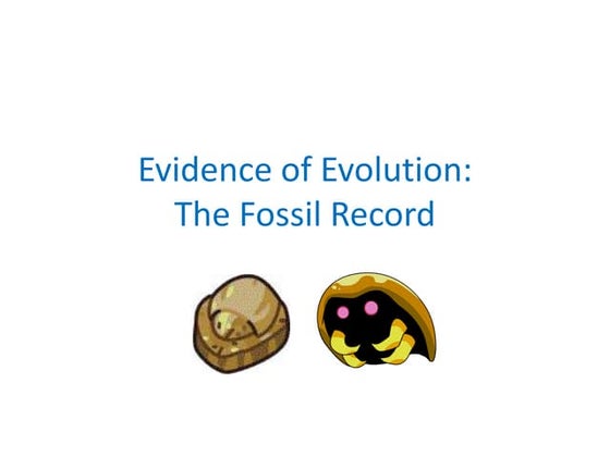 Fossils | PPT