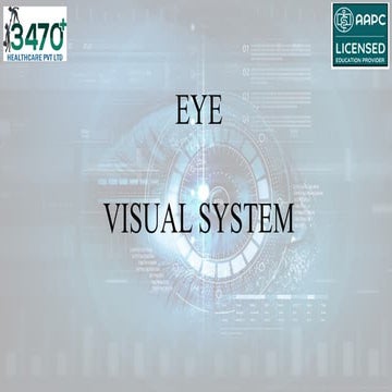 Eye_visual system [all about eye]....... | PPTX | Eye and Vision ...