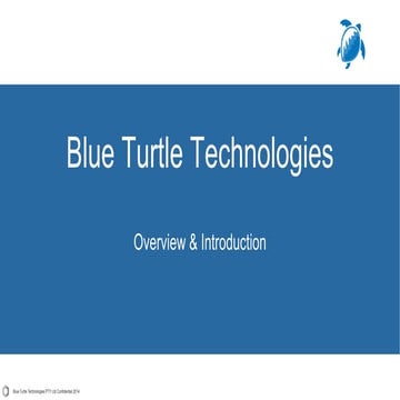 Blue Turtle-Overview Introduction | PDF