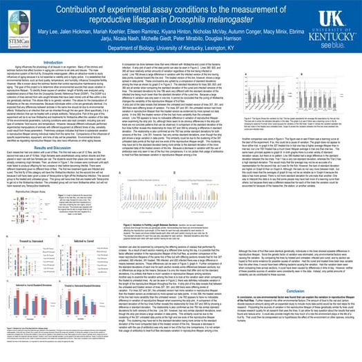 Variation Poster Updated 2 | PPTX