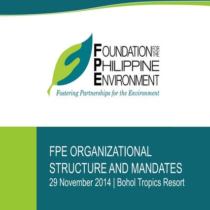 MRU: FPE Organizational Structure and Mandates | PDF