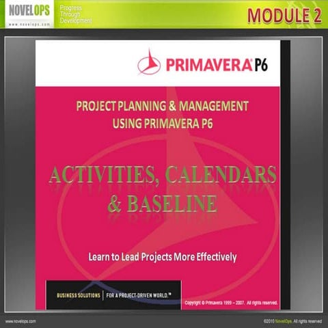 Activity, Baseline & Calendars | PPT