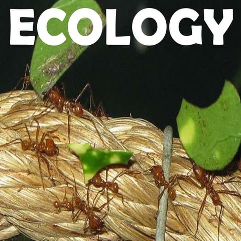 02 introduction to ecosystems | PPTX