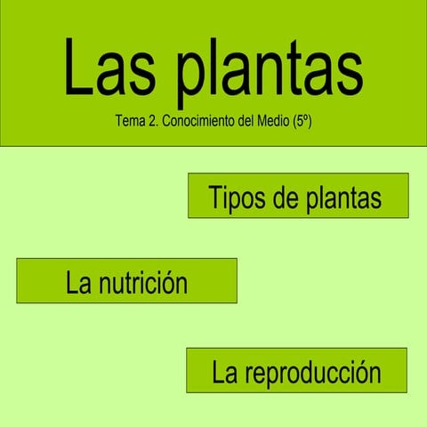 Tropismos y nastias | PPTX