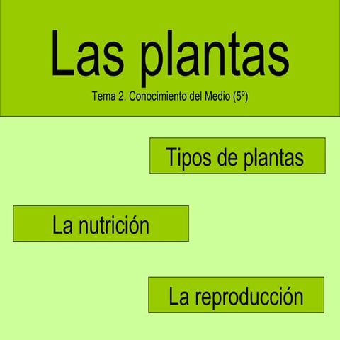 Las plantas | PPT