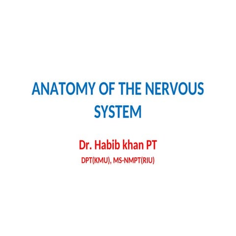 BIOMECHANICS OF SACRAL SPINE in Humans .ppt