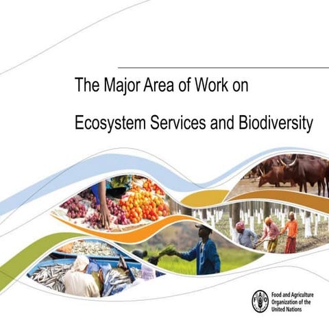 FAO’s Major Area of Work on Ecosystem Services and Biodiversity | PPTX