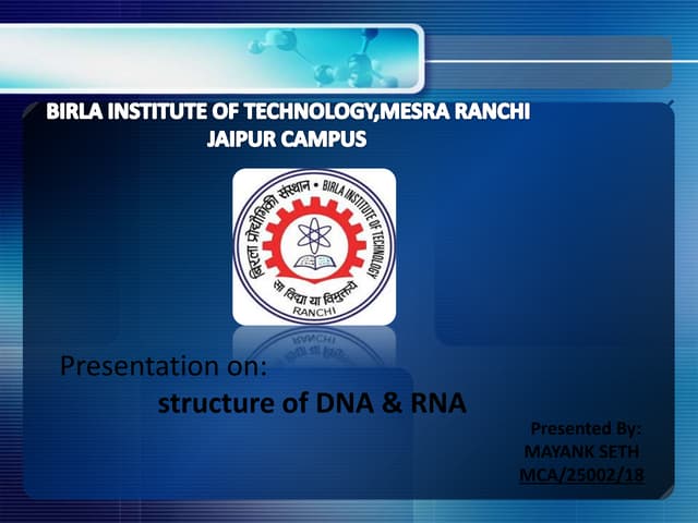 DNA vs RNA and Comparison.pptx | Biological Sciences | Science