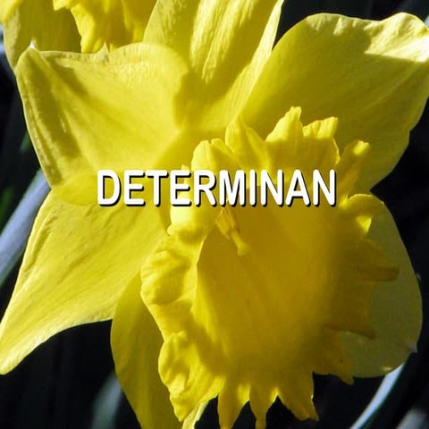 [02] Pertemuan 2 - Determinan Matriks.ppt