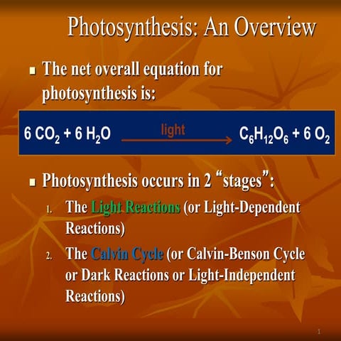 02 Photosynthesis Calvin Cycle Light Independent Reactions.pptx