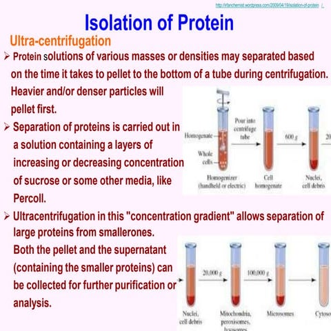 02 Protein Isolation02 Protein Isolation | PPTX