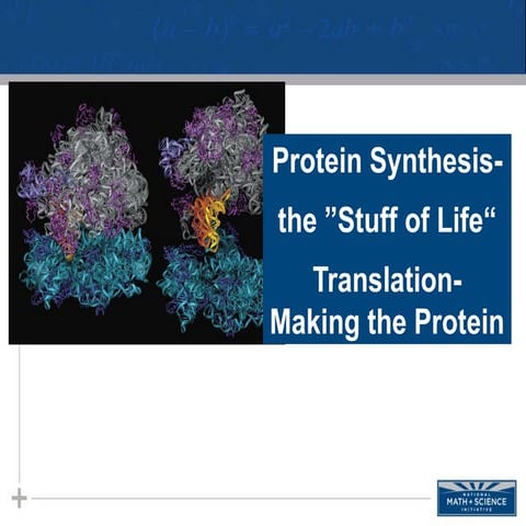 02_Protein_Synthesis_Translation__1_.pptx