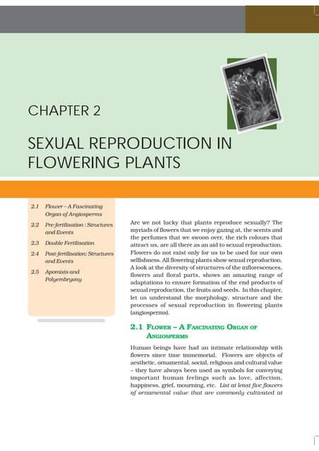 Pollen wall Structure and Male Germ Unit in Plants | PDF