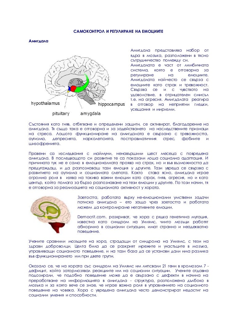 Brain and self control