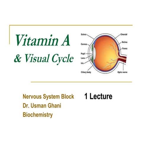 02 Vitamin A.ppt