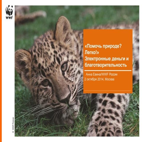 Анна Евина_WWF | PPT