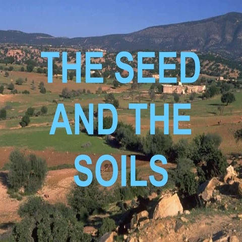the seed and the soils | PPT