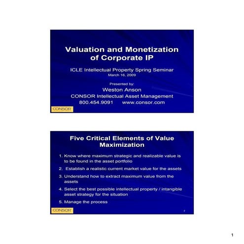 Valuation and Monetization of Corporate IP | PDF