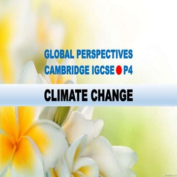 Global Perspectives Presentation | PPTX