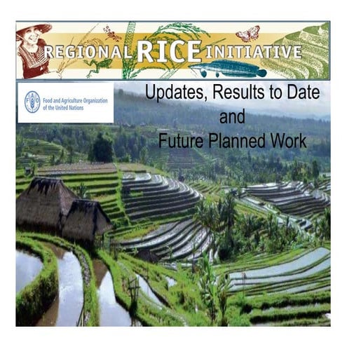 Regional Rice Initiative: Updates, Results to Date & Future Planned ...