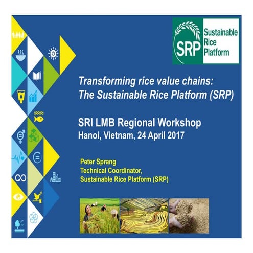 Transforming Rice Value Chains: The Sustainable Rice Platform (SRP) | PDF