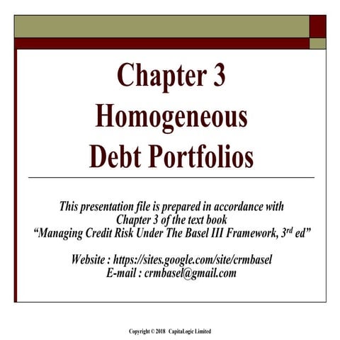 03.2 homogeneous debt portfolios | PPT