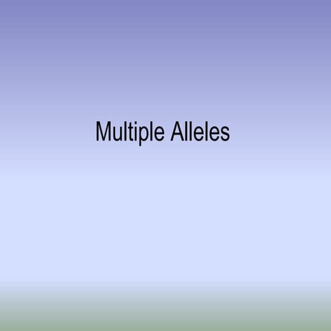 03. multiple alleles | PPT