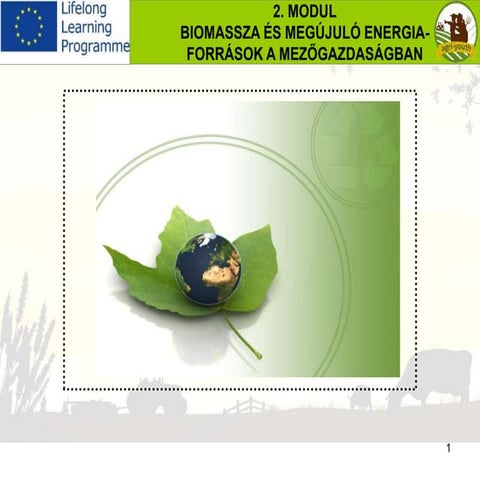 Biomassza és megújuló energiaforrások a mezőgazdaságban | PPTX