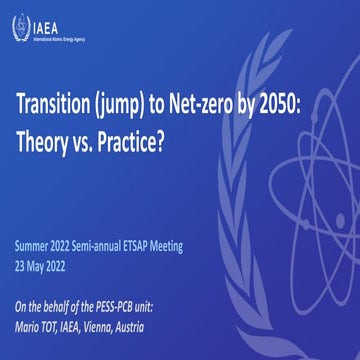 Net-zero Transition by 2050: theory vs. practice? | PDF