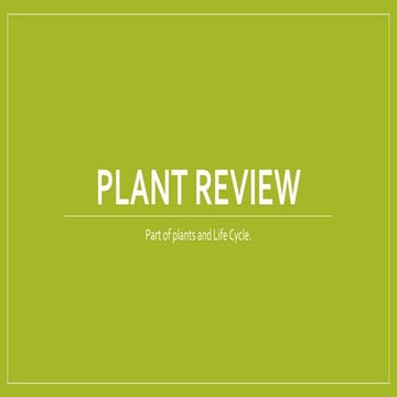 03. Plant Review.pptx