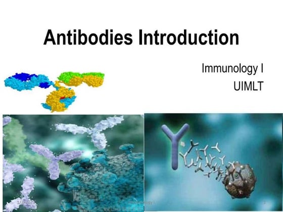 2.2. Antibody.pptx student notes for immunology | PPT
