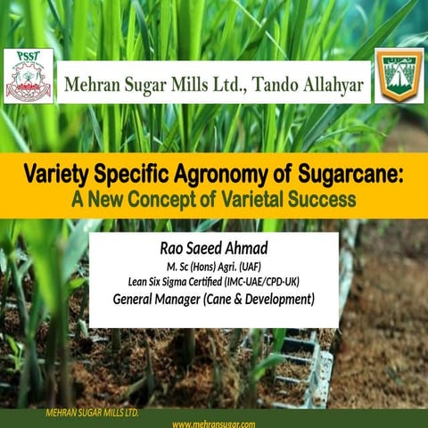 03. of Sugarcane By Rao Saeed Ahmed.pptx