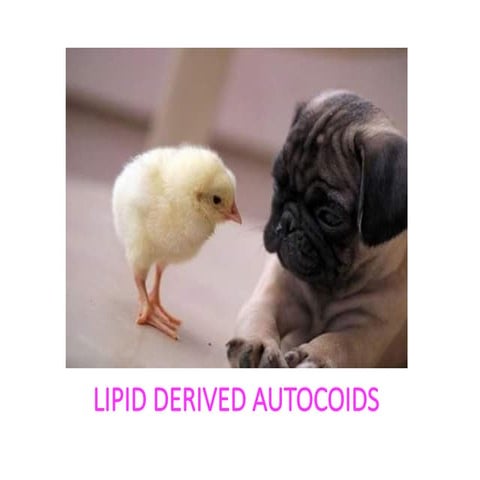 EICOSINOIDS LIPID DERIVED AUTOCOIDS HAP T | PPT