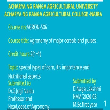 Structure and composition of corn maize | PPTX