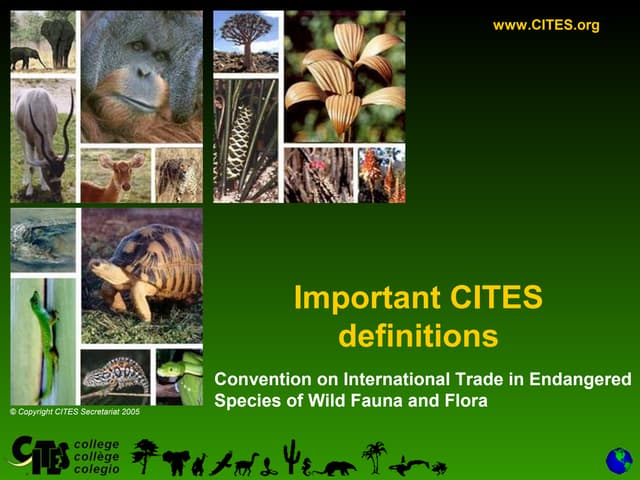 CITES | PPTX