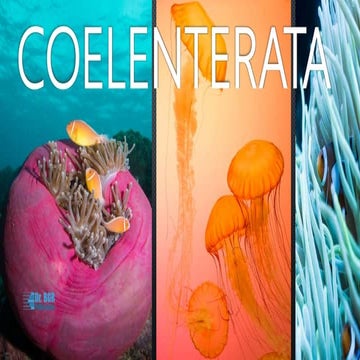 General characteristics of Coelenterata | Dr.BGR Publications | PPTX