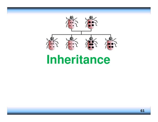 03-inheretance java code programming .pdf 03-inheretance java code programming .pdf