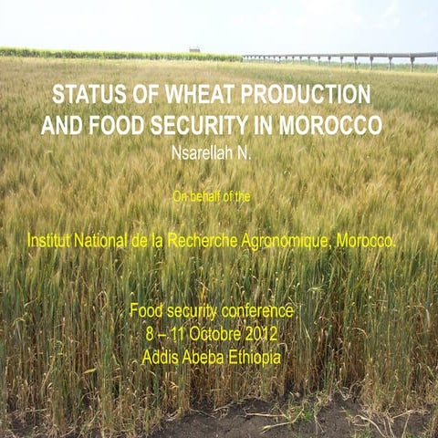 Status of wheat production and food security in Morocco | PPT