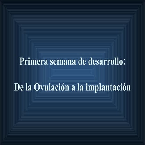 primera semana | PPT