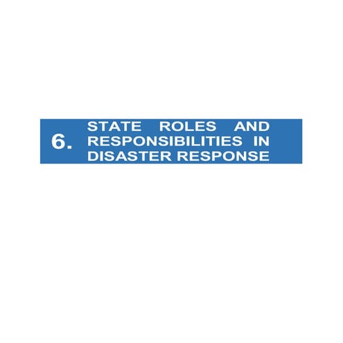 03 state roles and responsibilities disaster response | PDF