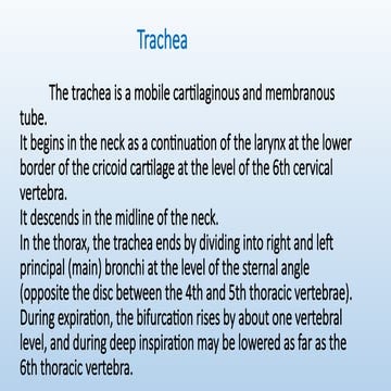 09-Thoracic Wall.pptxkmu slides for dpt 3rd semster | PPTX