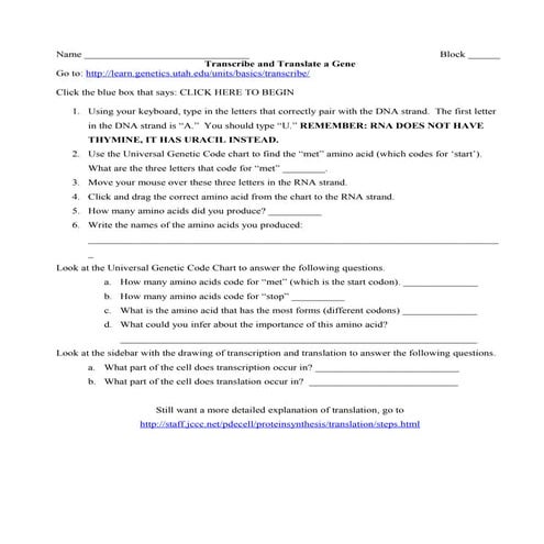 03 transcribe and translate a gene (1) | DOC